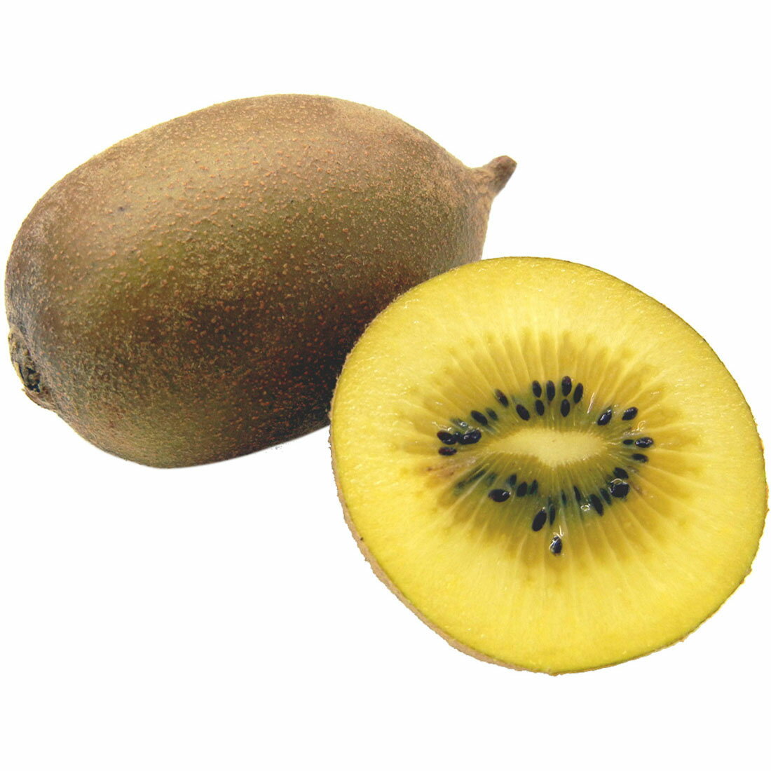 楽天西友ネットスーパー｜食品・日用品をいつでも安く最短当日宅配